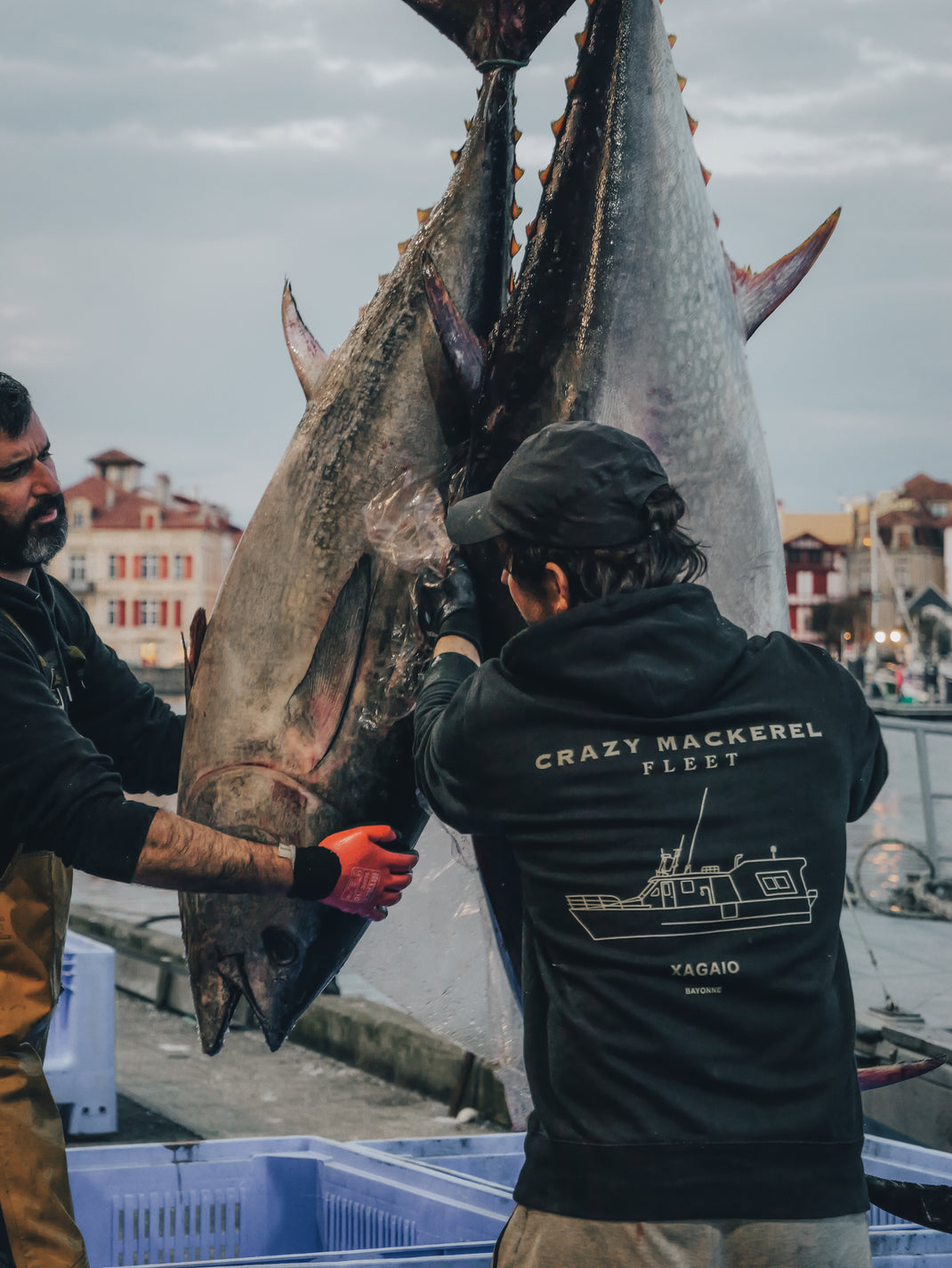 Fleet – Crazy Mackerel